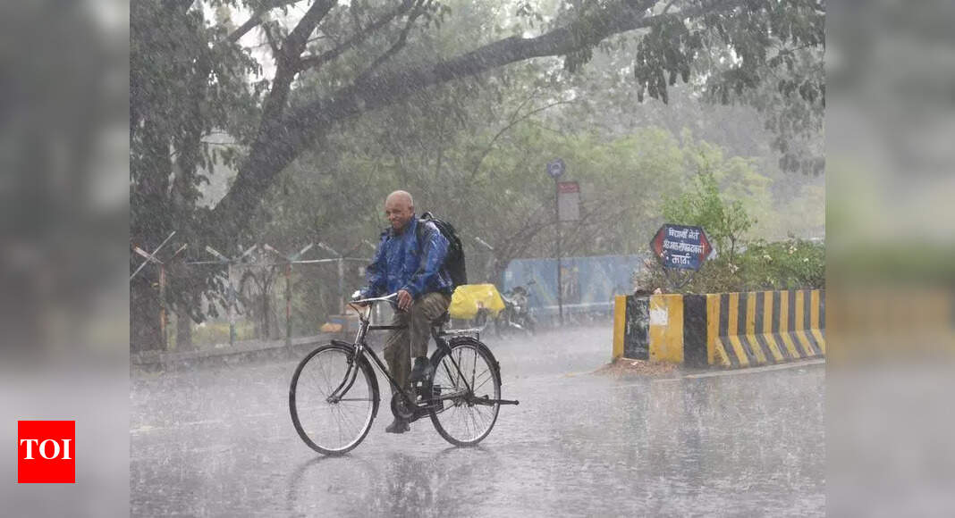 Catchments of four dams log over 3-digit rainfall in Kolhapur ...