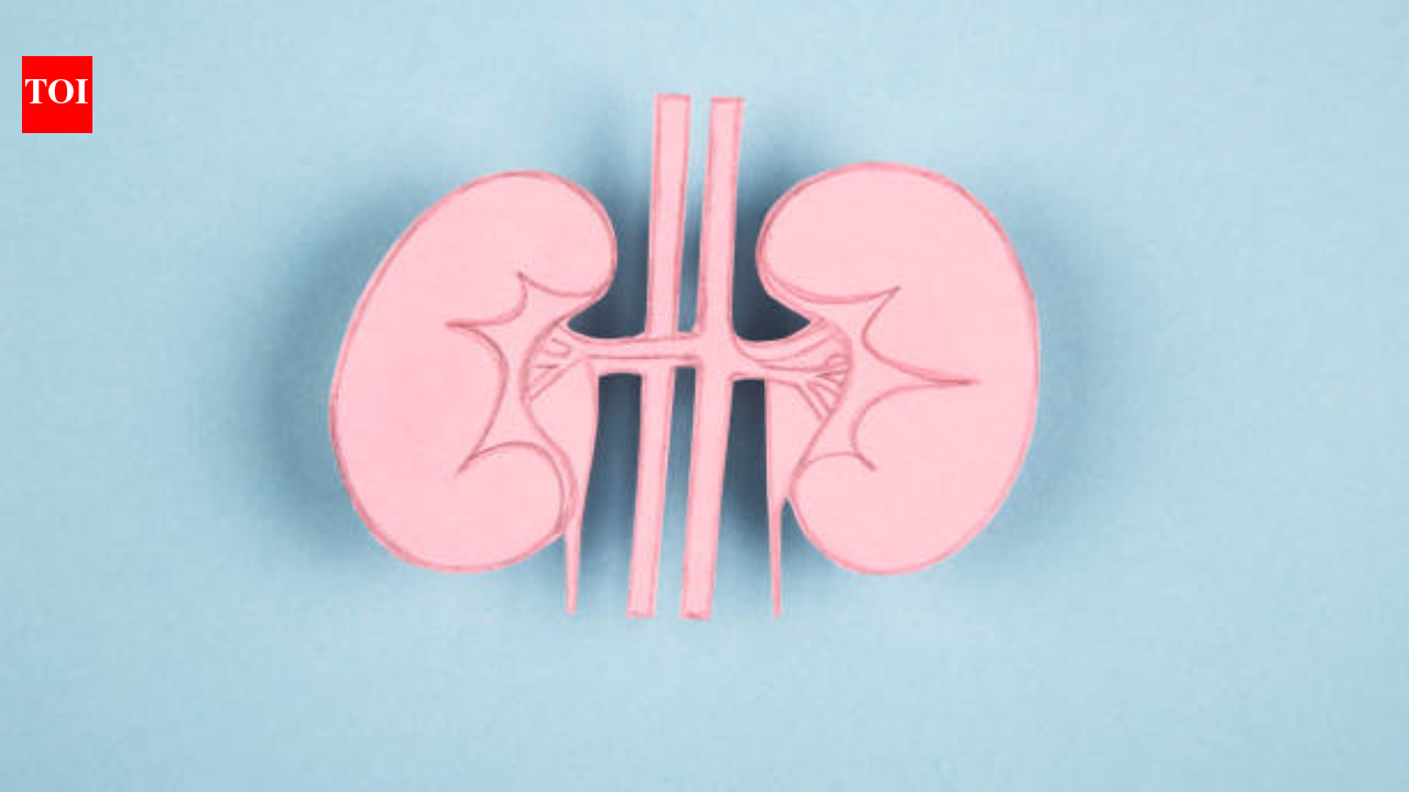 Kidney health: Best drinks for strong, healthy kidneys beyond water