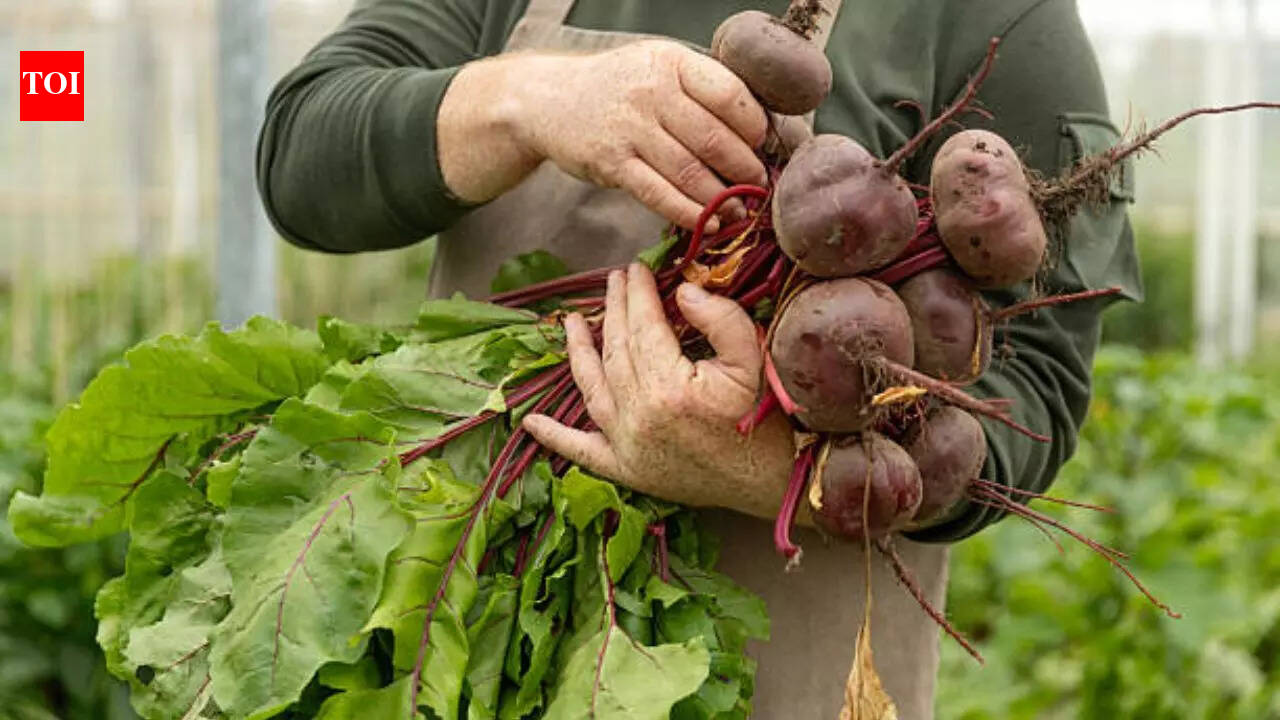 Love beetroot? Doctor explains why they might not be safe for everyone
