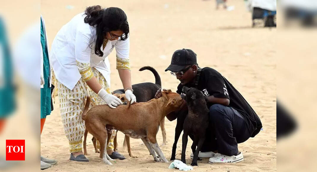 NMC launches anti-rabies vaccination drive, to cover 20,000 dogs by ...