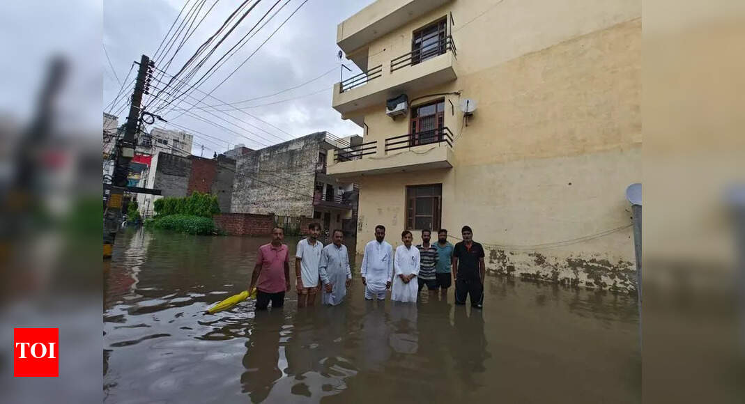 BJP leader blames MLA for Kharar civic mess | Chandigarh News - The ...