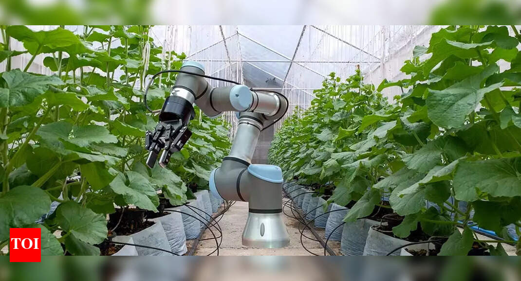 Precision, policy, partnerships: Dubai’s agritech playbook - The Times of India