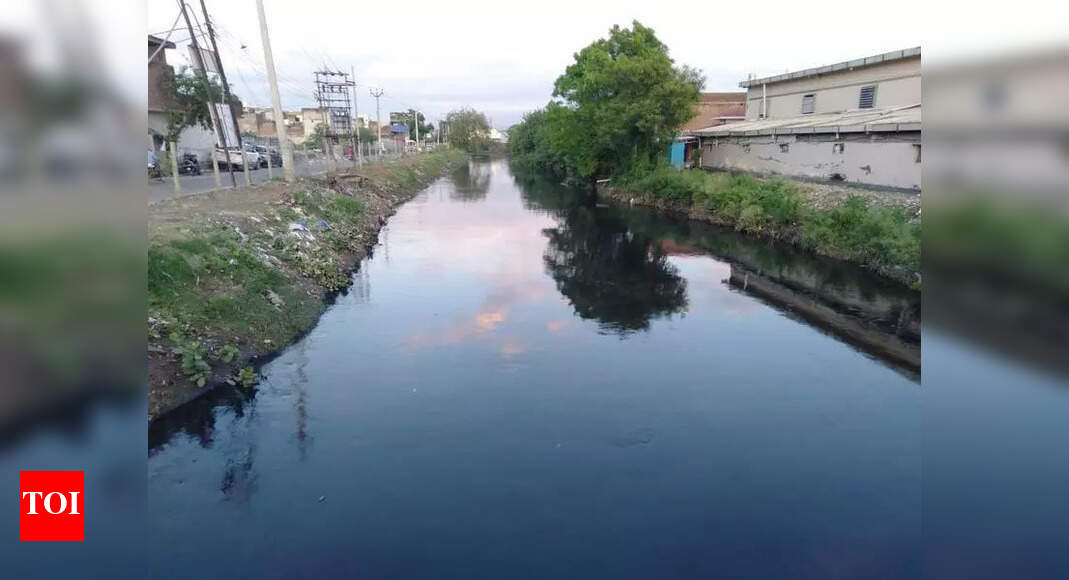 No dyeing units sans green nod, says PAC | Ludhiana News - The Times of ...