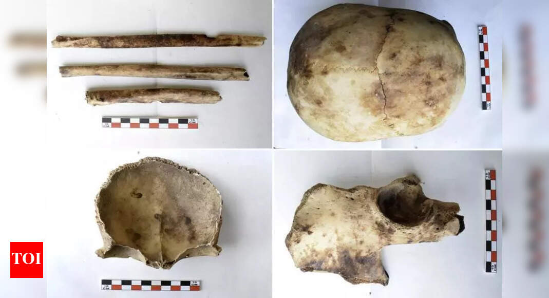 Over 700-year-old human bones found in Mizoram cave, may redefine Mizo ...