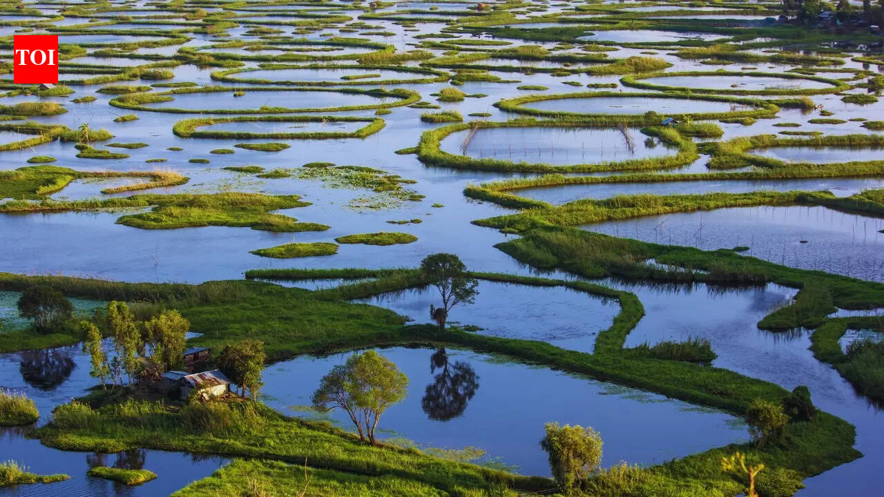 Discover India’s wild beauty: 10 stunning natural wonders of India