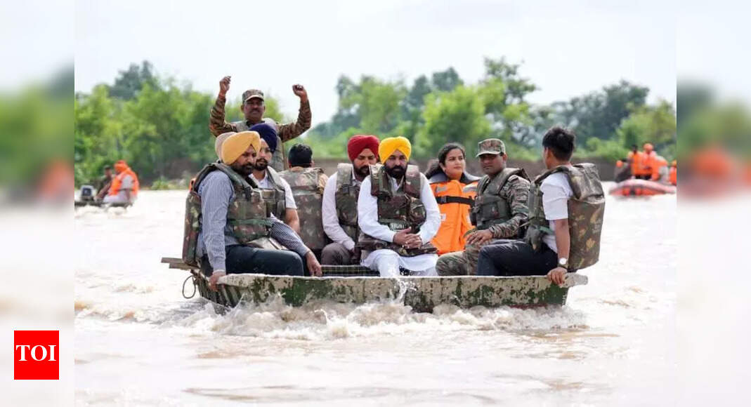 Mann tours flood-hit villages along border belt in Fzr, assures support | Chandigarh News - The ...
