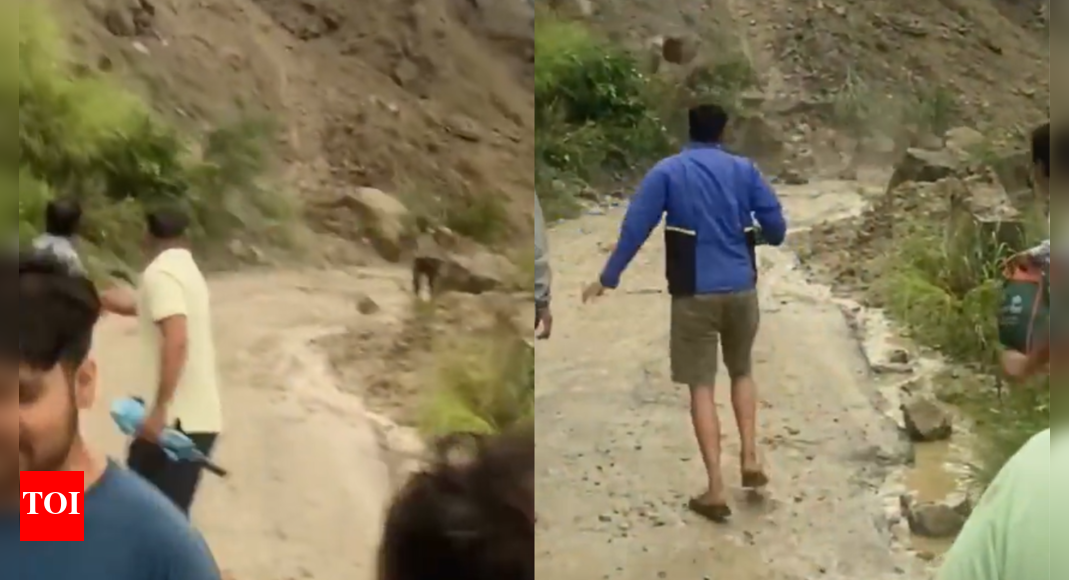 Almora Landslide: Rock rolls down hillside, 61-year-old man suffers ...