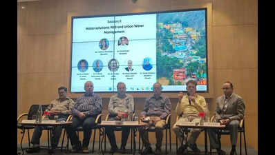 Himalayan springs drying fast, experts seek urgent fixes | Dehradun ...