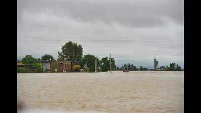 Milkfed Punjab launches relief & recovery operation for flood-hit villages | Chandigarh News ...