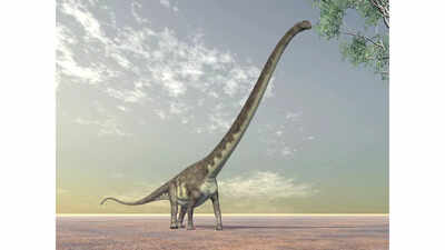 Paleontologists discover a new species of 39 feet long Dinosaur in China | - The Times of India