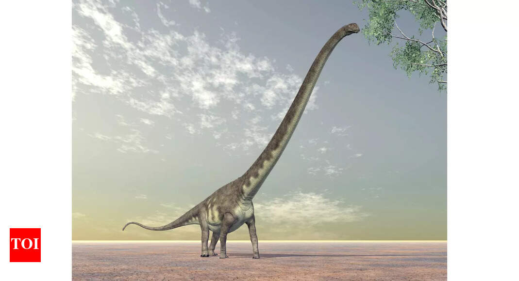 Paleontologists discover a new species of 39 feet long Dinosaur in ...