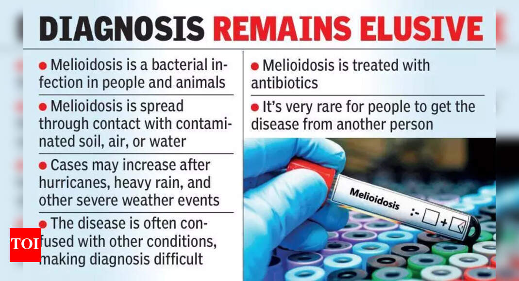 Deadly Melioidosis missing from India’s disease watchlist | Vijayawada ...