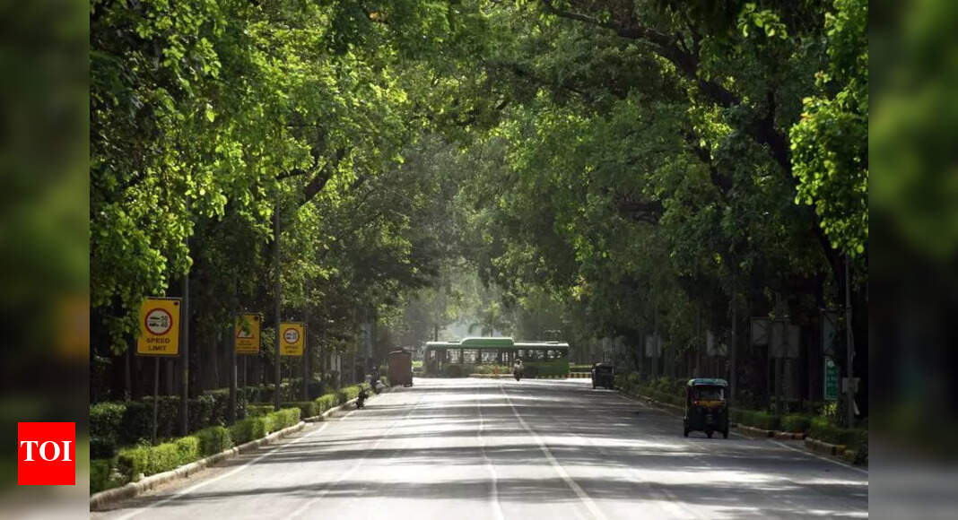 ‘17 trees illegally felled, RWA told to plant 300 saplings’ | Delhi ...