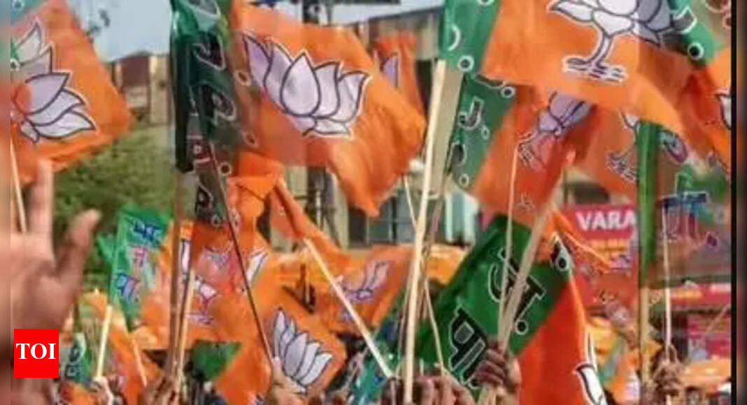 Ramchander Rao’s Telangana BJP reboot: Balancing youth, experience ...