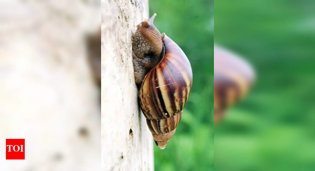 Veronica babko porn scheduled her Pasadena area; it was a