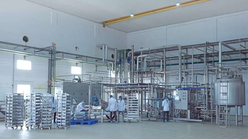 Khoya revolution: Automation enters Khoya production - The Times of India