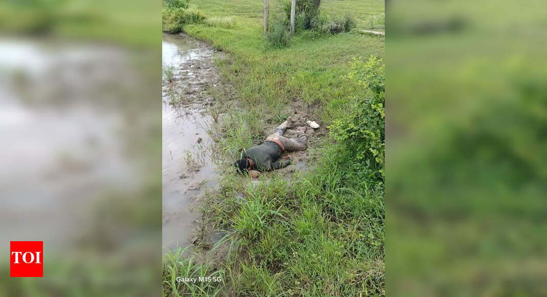 Sloshed sarpanch mistakes field for home, sleeps; saved from drowning ...