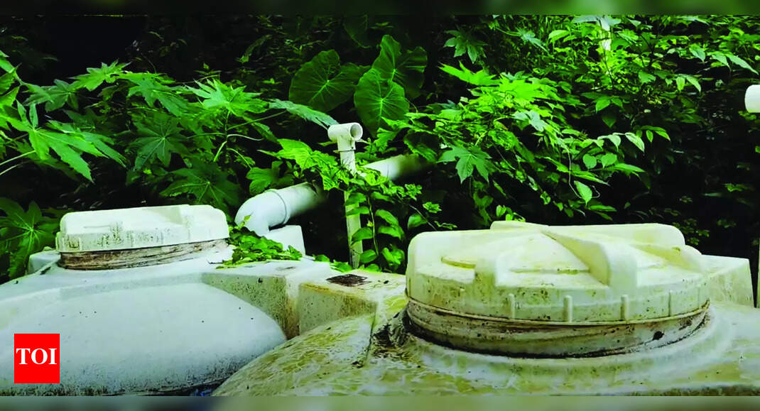 Edu institutes make beeline for WRD’s water harvesting scheme | Goa ...