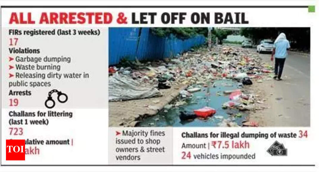 Waste disposal: Cops step up heat on violators in Gurgaon, 19 face FIRs ...