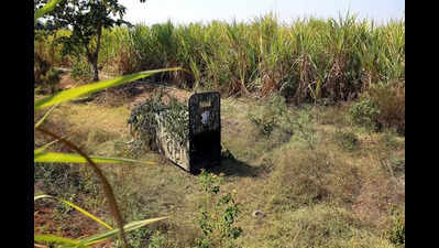 60-year-old woman found dead in Junnar, forest officials unsure of ...