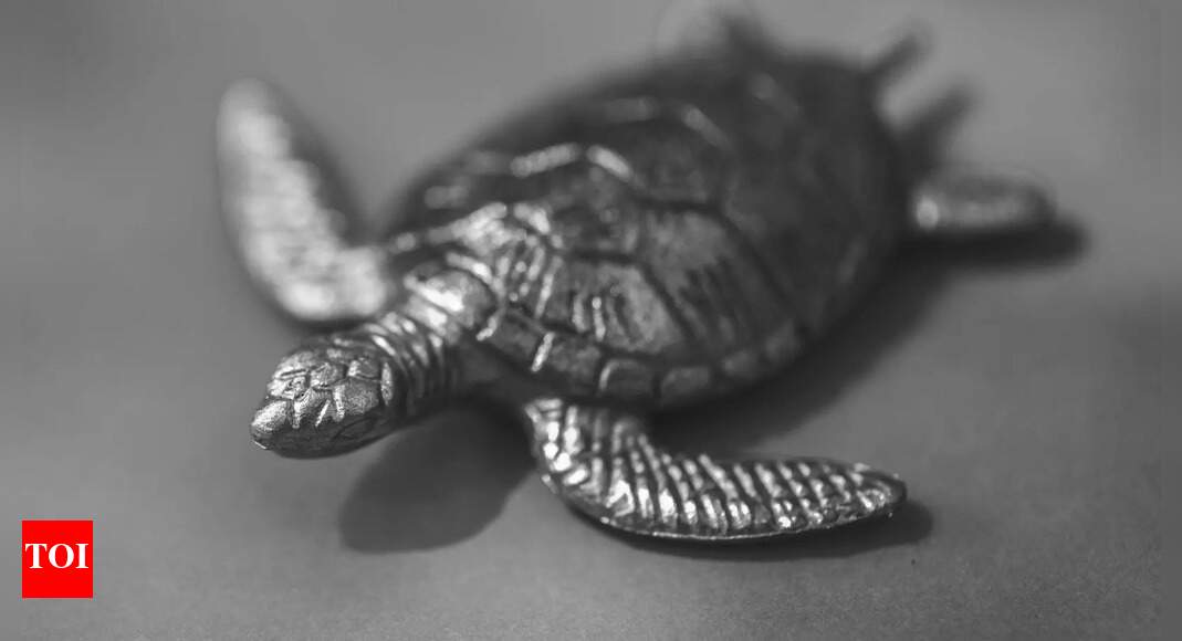 Tortoise Placement as per Vastu: Directions, Types, and Benefits for ...