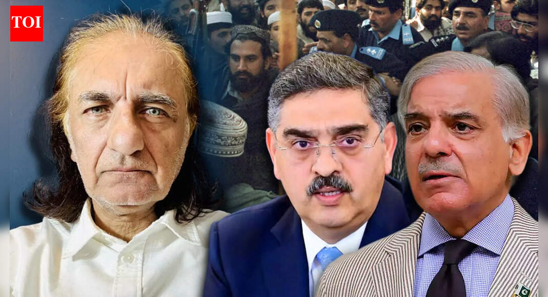 Activist Amjad Ayub Mirza Slams PoJK PM, Pakistan Govt For Promoting ...