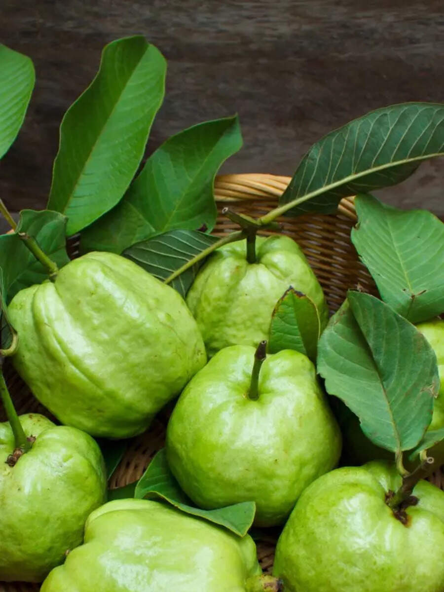 From pot to plate: How to grow fresh guavas in a balcony garden | Times ...