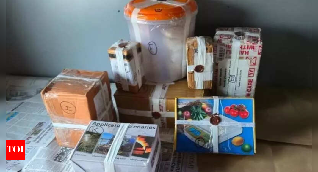 Next wave of jihad? ISIS-inspired module planned fidayeen attacks; 2 ...