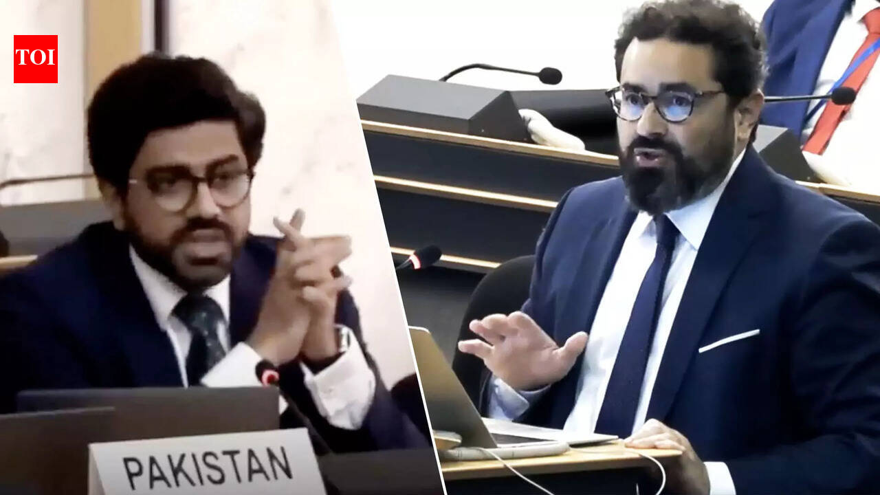 Pakistan Destroyed By UN Watch in Four Seconds, Reminded of Its Own ...