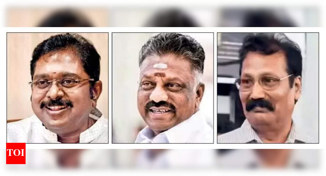Small parties warm up to Vijay | Chennai News - The Times of India