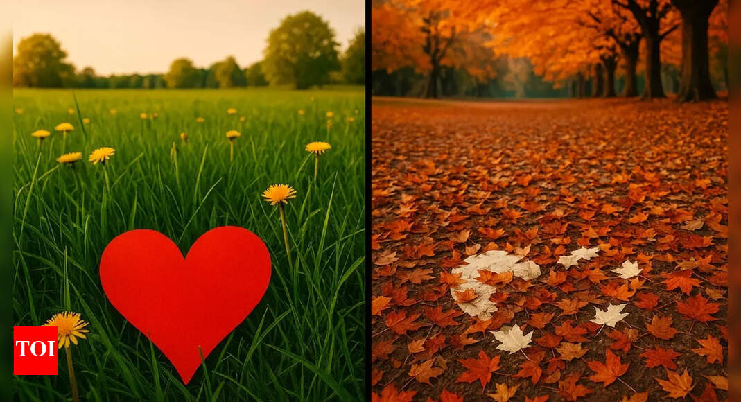 Summer vs Fall Dating: Which zodiac signs belong where? - The Times of ...