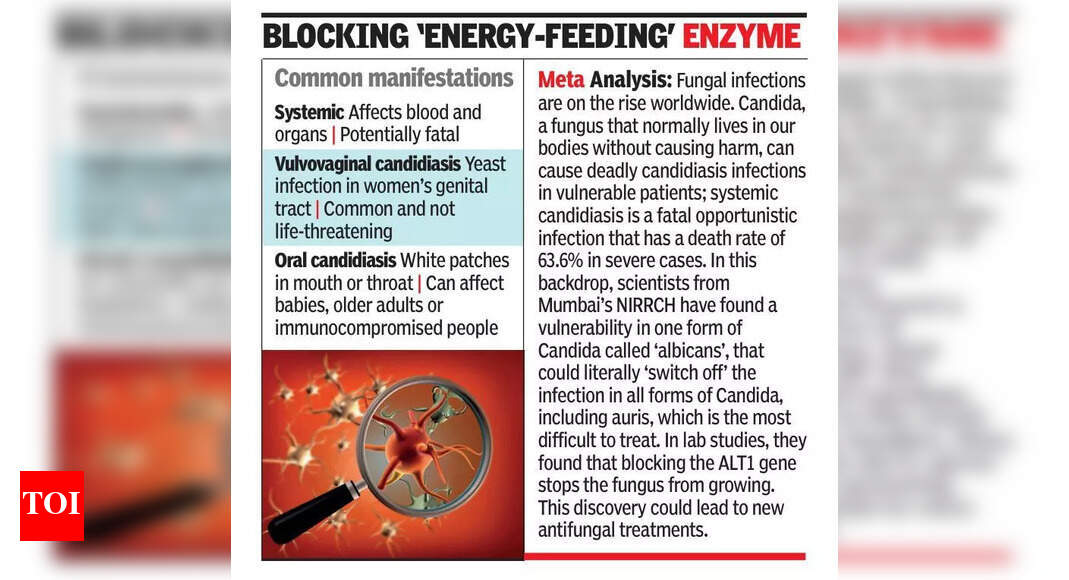Keytruda Qlex: FDA Approval for Subcutaneous Injection in Solid Tumors ...