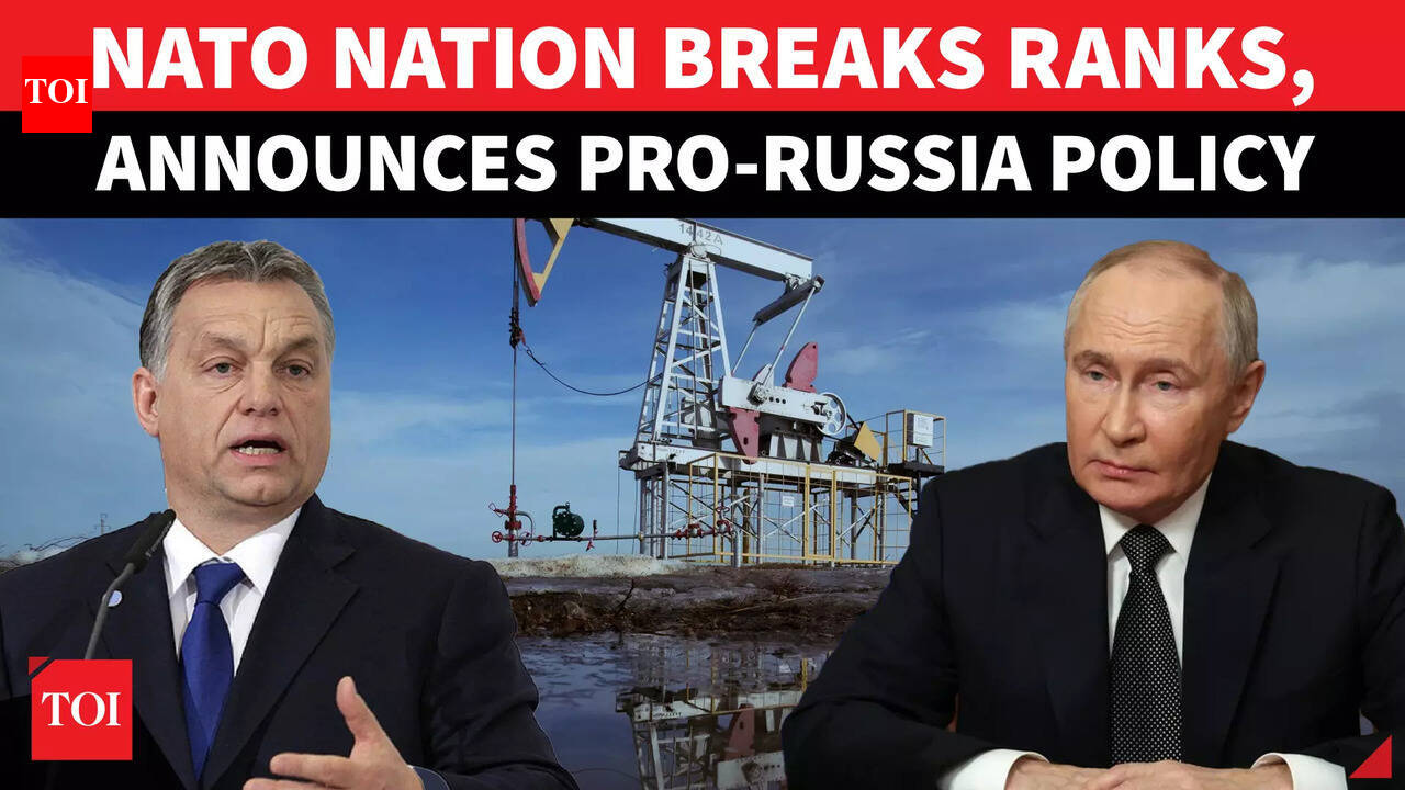'Russia Essential For...': NATO Snubbed By Key Member After Stunning ...