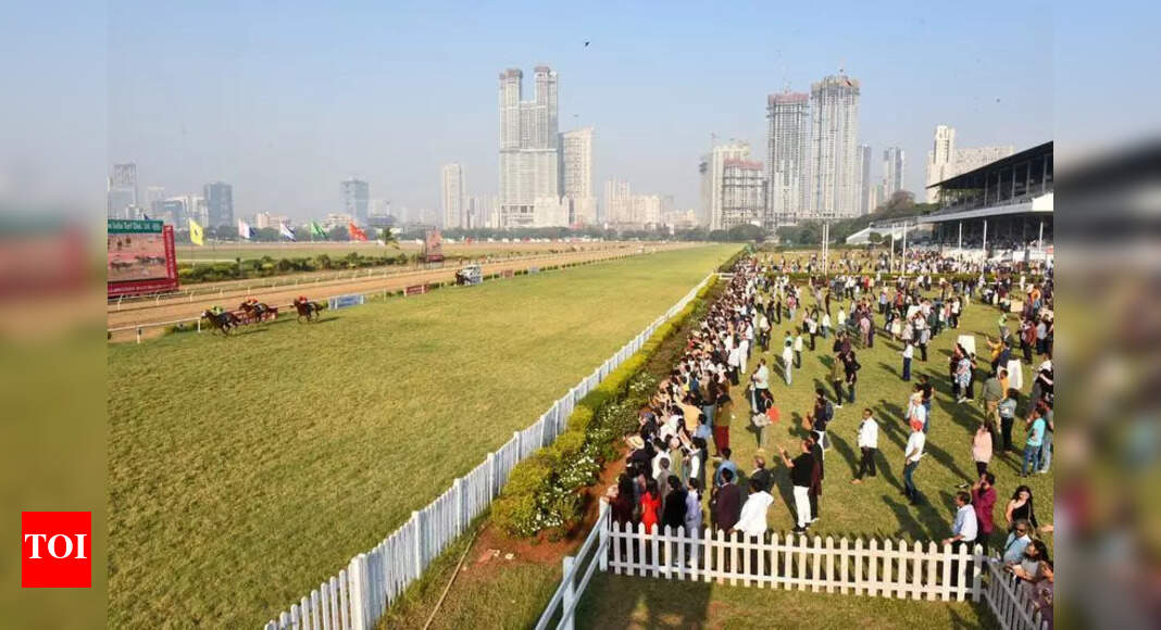 5 racecourse horses attacked; 3 including supervisor booked | Pune News ...