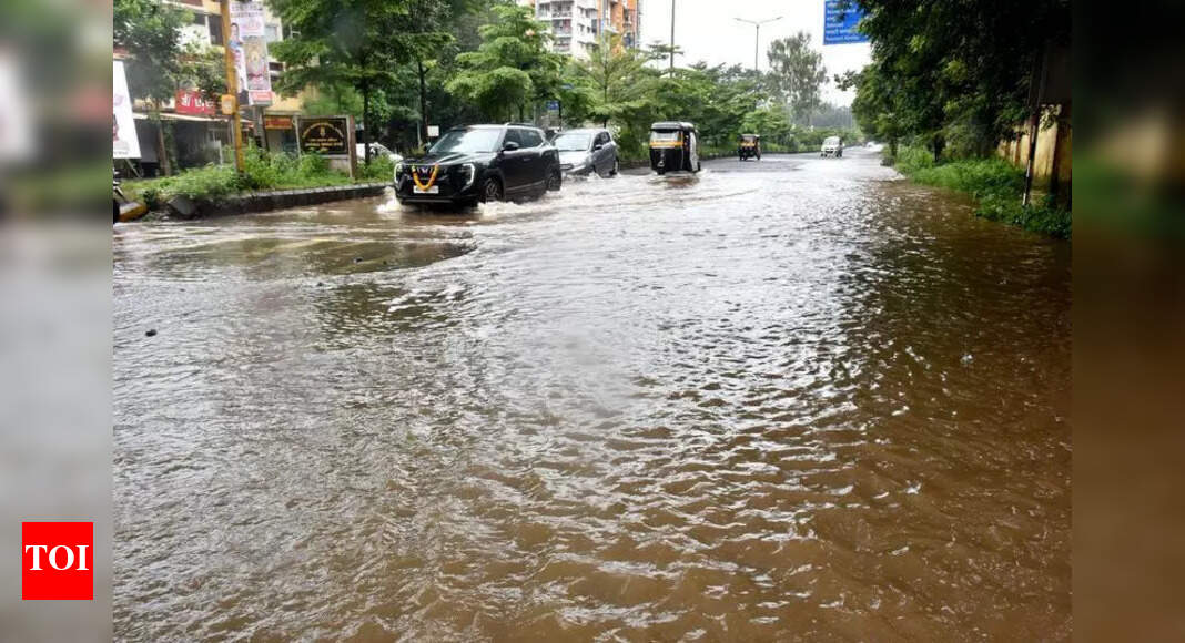 Rain leads to waterlogging in Nashik city; IMD issues yellow alert for today | Nashik News - The ...