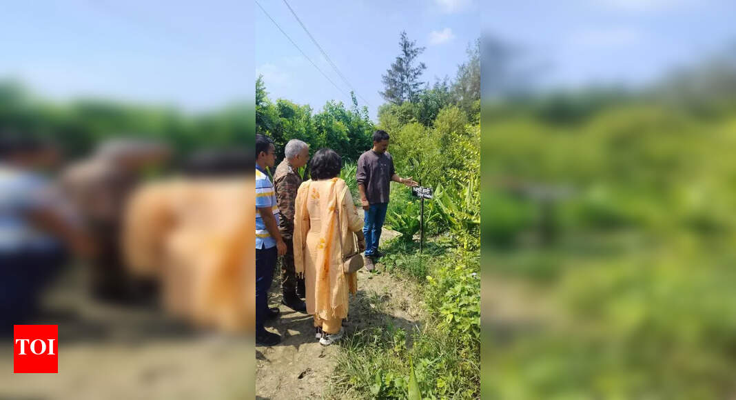 Prayagraj farmers learning about turmeric production through organic ...