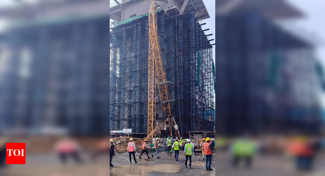 Tower crane collapse at AM/NS plant kills one, injures 3 | Surat News ...