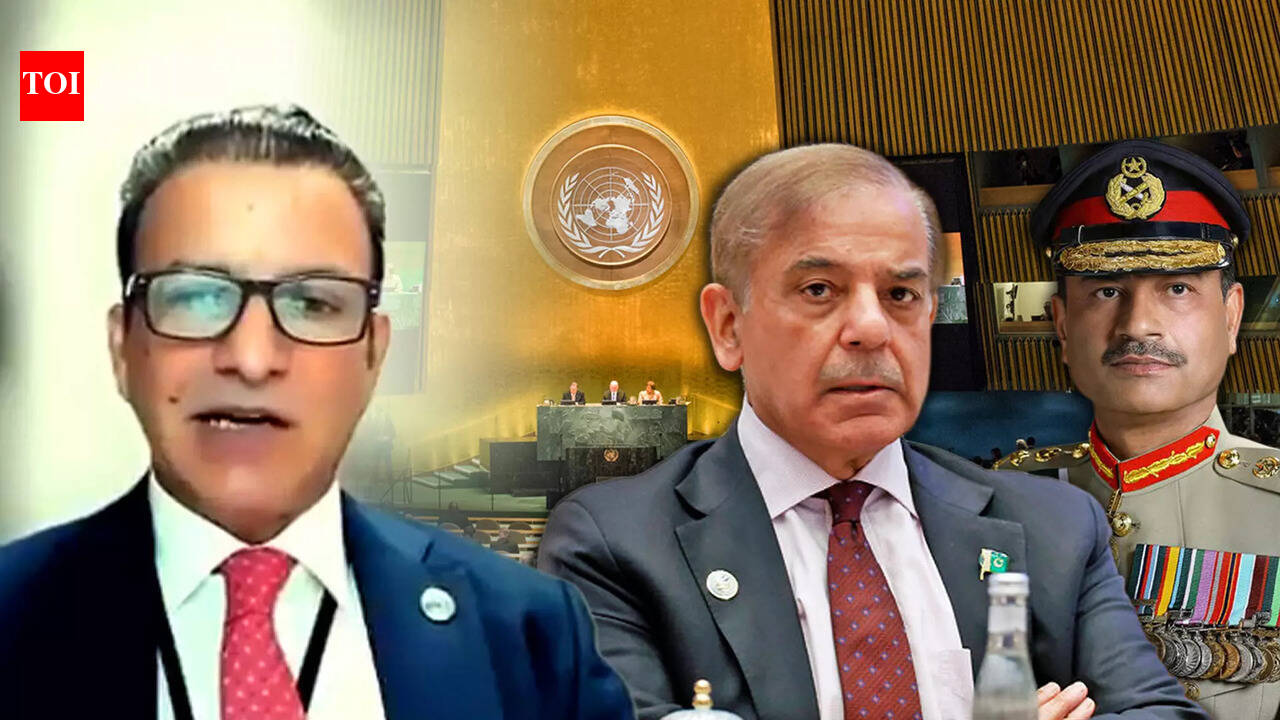 UKPNP Exposes Pakistan’s Repression In PoK at United Nations, Urges To ...