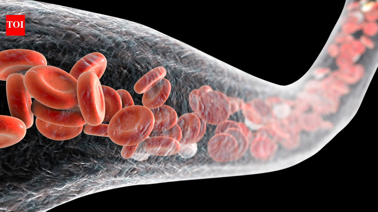 5 expert tips for improving blood circulation and boosting vascular health
