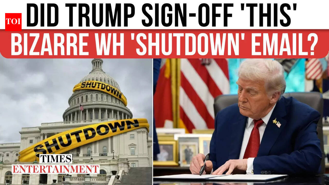 Reporter Stunned By Unexpected Trump-Style 'Shutdown' Response In ...