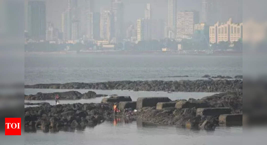 Maharashtra Navnirman Sena neta: Contractor installed iron tank instead ...