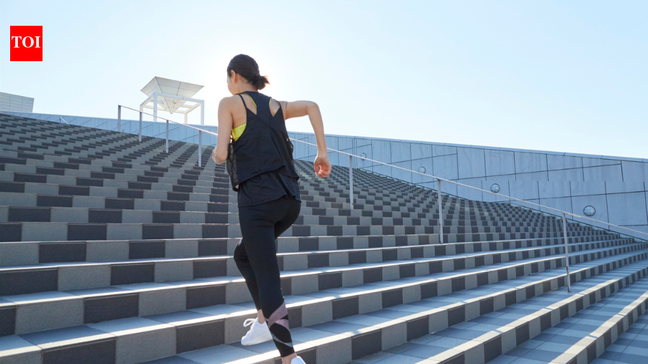 Steppers For Exercise: The Ultimate Guide to Exercise Steppers ...