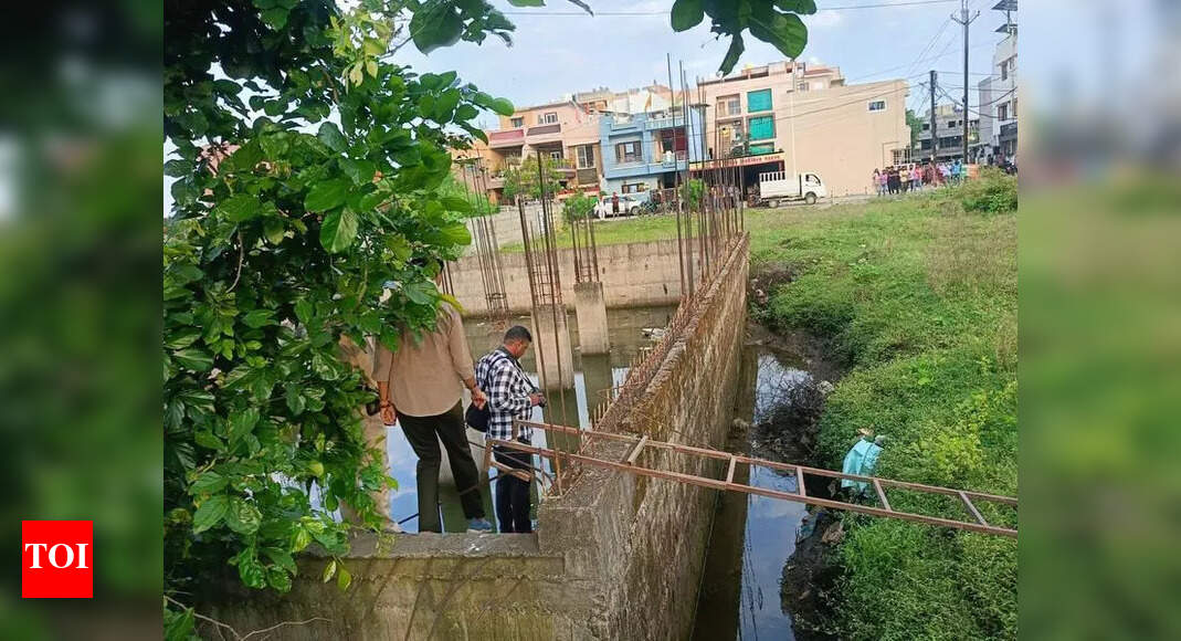 Panic in Bhopal after rotting body parts found in watery pit | Bhopal ...