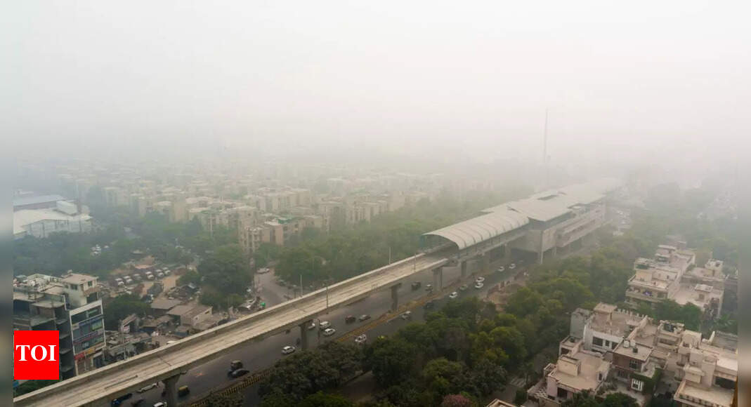 8 indoor plants to beat winter smog and keep your home air clean ...