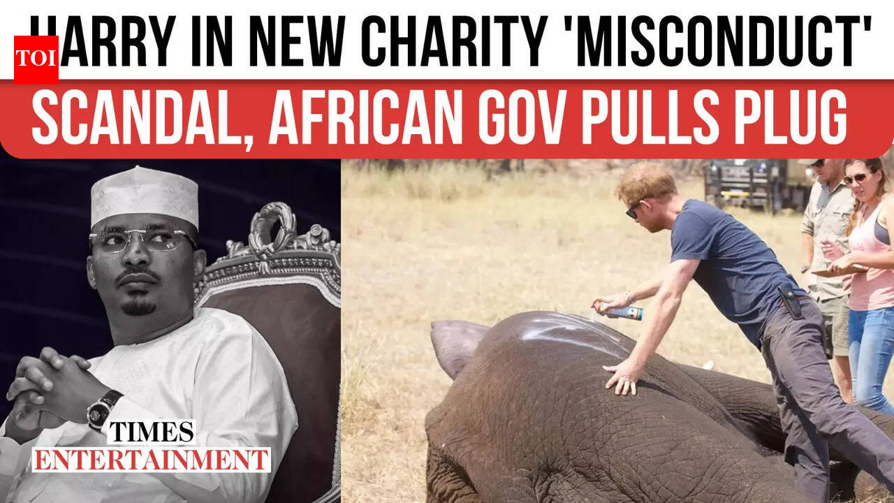 Prince Harry Hit With Another Charity Scandal, Chad Cuts Ties With ...