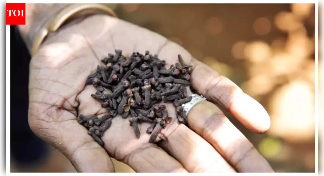 Clove Water Benefits: 5 things that will happen if one consumes clove ...