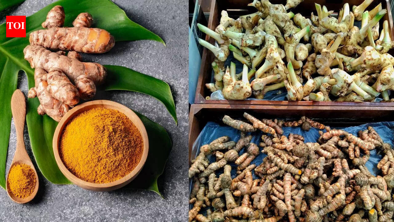 Turmeric vs Black Turmeric: Which is better?