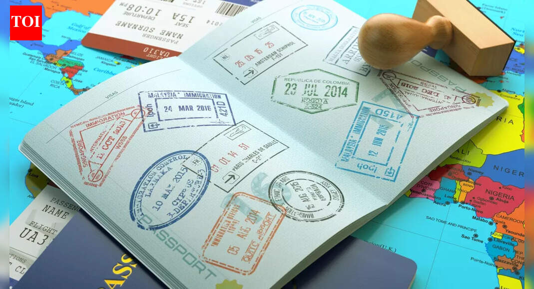 Visa Types: 10 types of visas explained: Which one do you need before ...