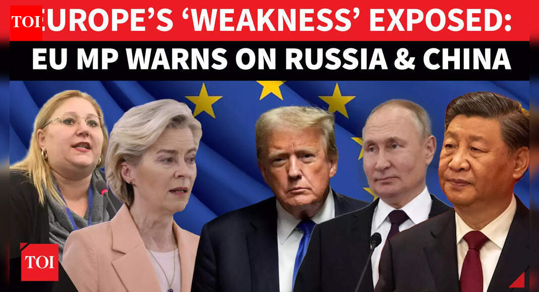NATO Nation’s Opposition Leader Reveals Europe’s Weakness | ‘EU Is ...