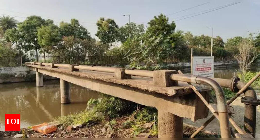 Corporation to change new Uyyakondan bridge’s design | Trichy News ...